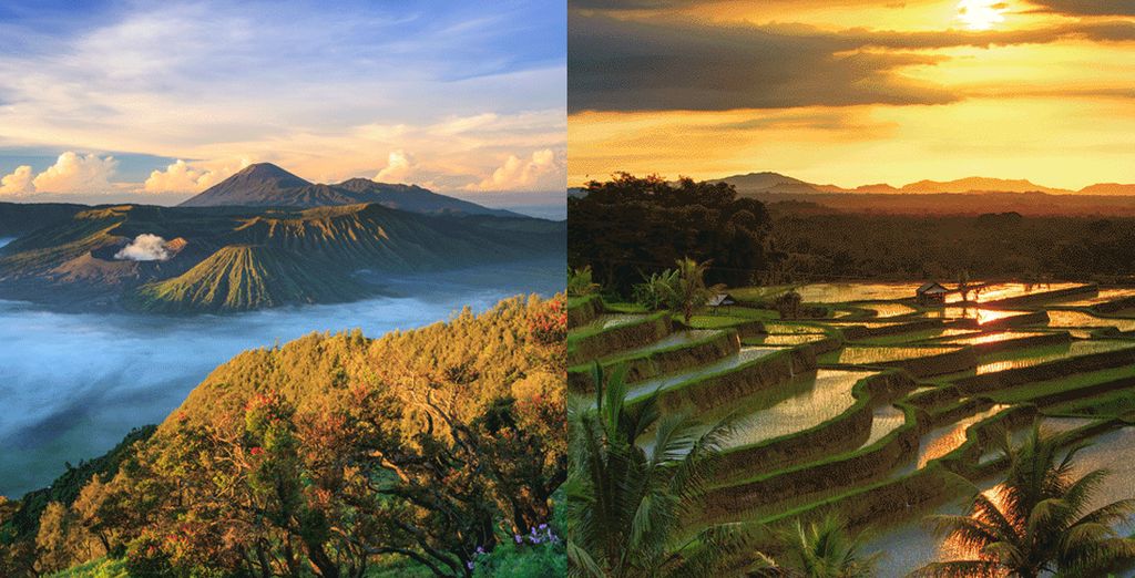 Private Rundreise von Java nach Bali - Ubud - Bis zu -70% | Voyage Privé