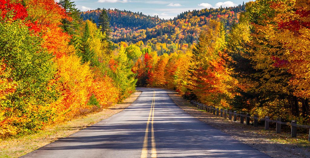 Autotour di 8 o 11 notti per un'estate indiana in Quebec - Quebec ...