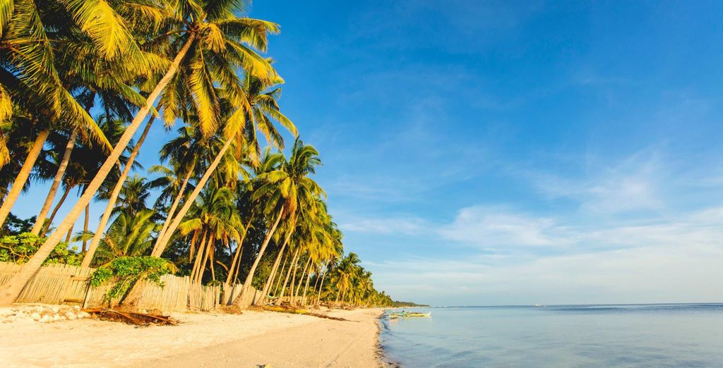 Private tour: 10 nights in the Visayas with optional stopover ...